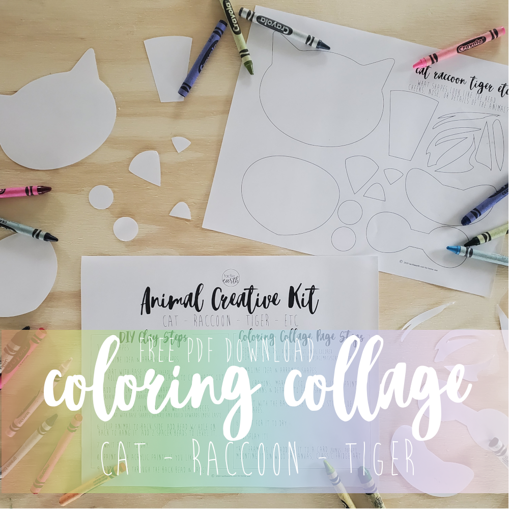 PDF Coloring Collage : Cat, Raccoon, Tiger | Tactile Earth